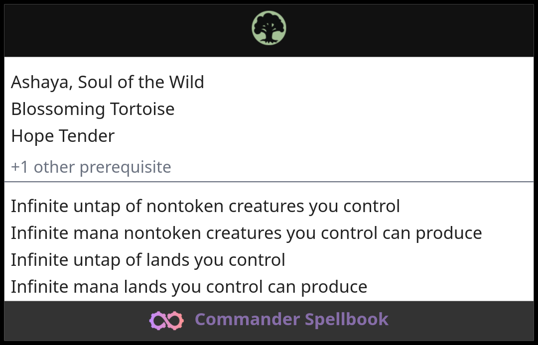 Ashaya, Soul of the Wild | Blossoming Tortoise | Hope Tender